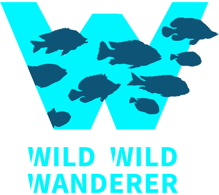 Wild Shop – WILD WILD WANDERER